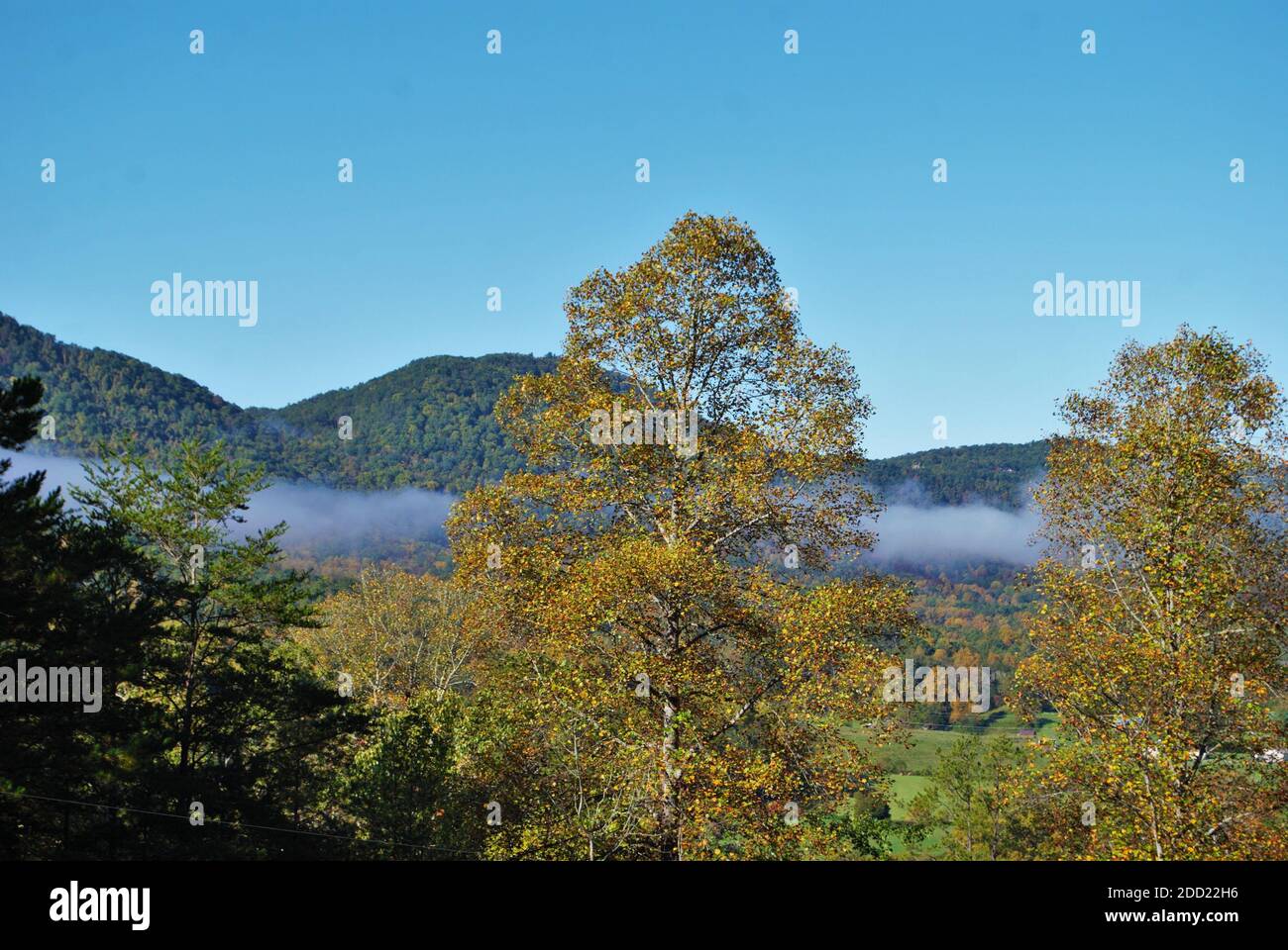 Tennessee background hi-res stock photography and images - Alamy