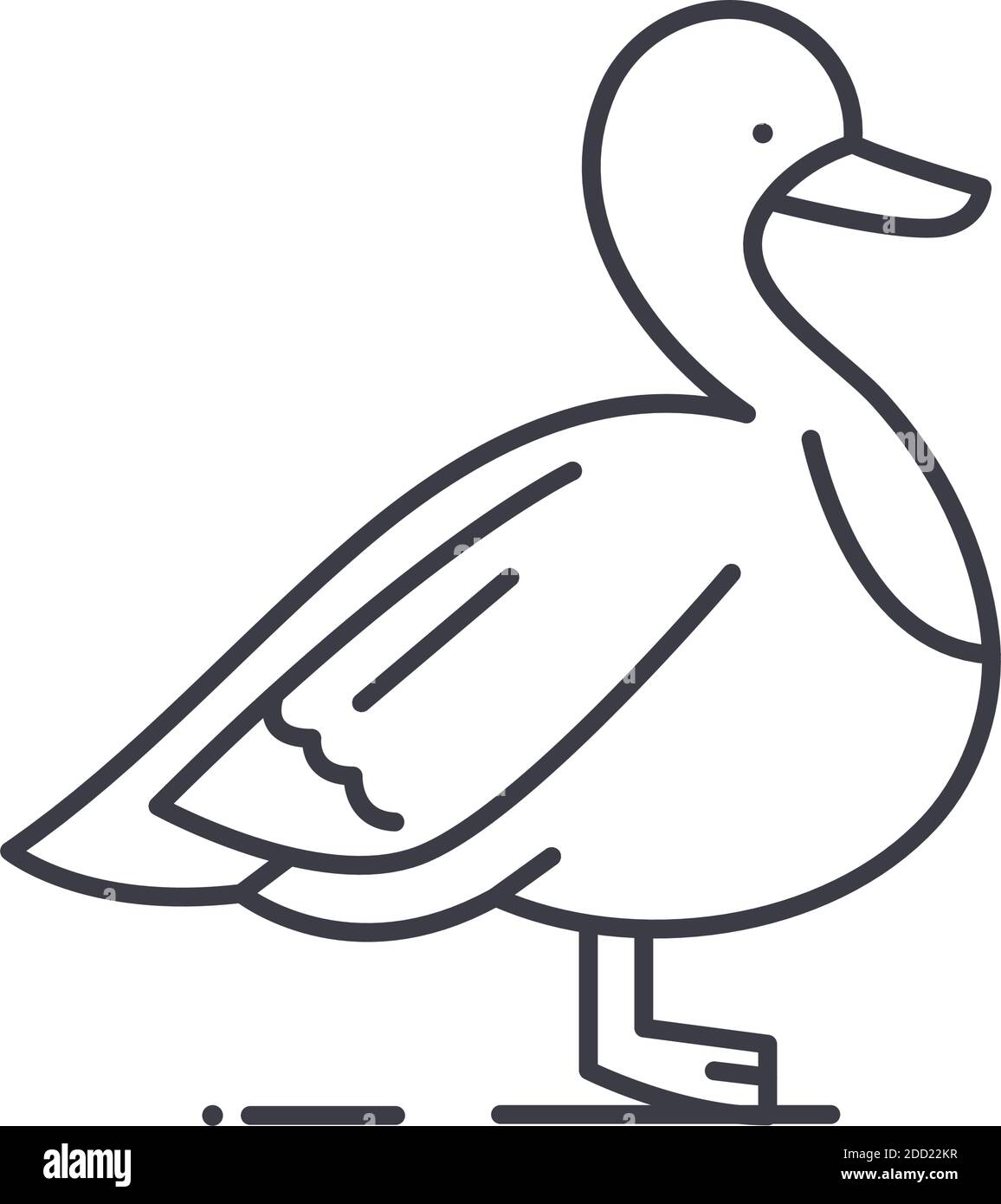Duck icon, linear isolated illustration, thin line vector, web design ...