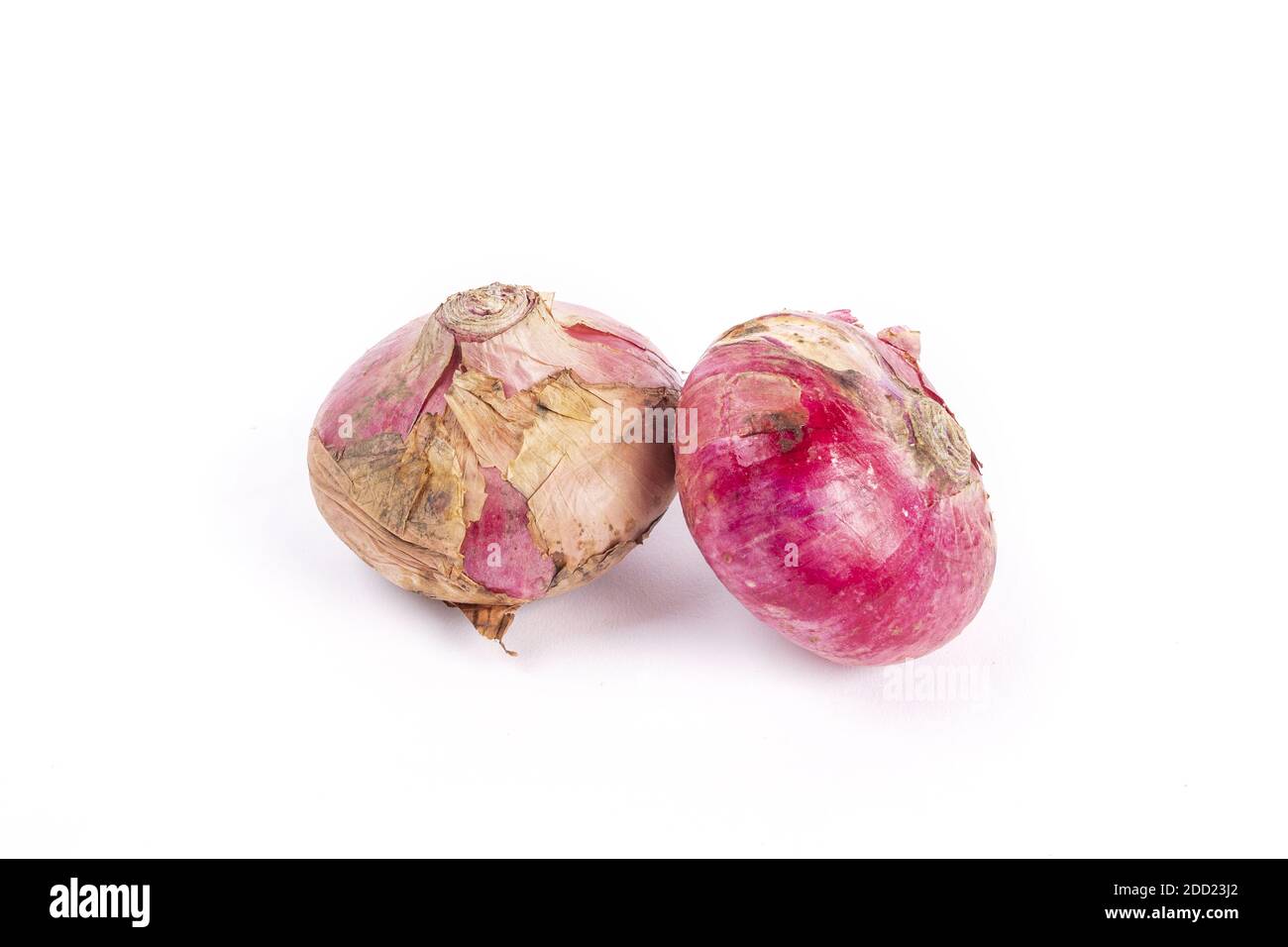 The two rotten red onions isolated on a white backfground Stock Photo ...