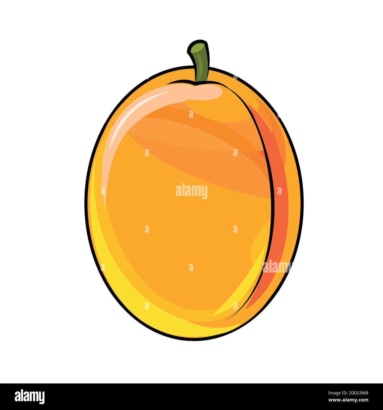Apricot fruit. The isolated object on a white background. Ripe. Cartoon ...