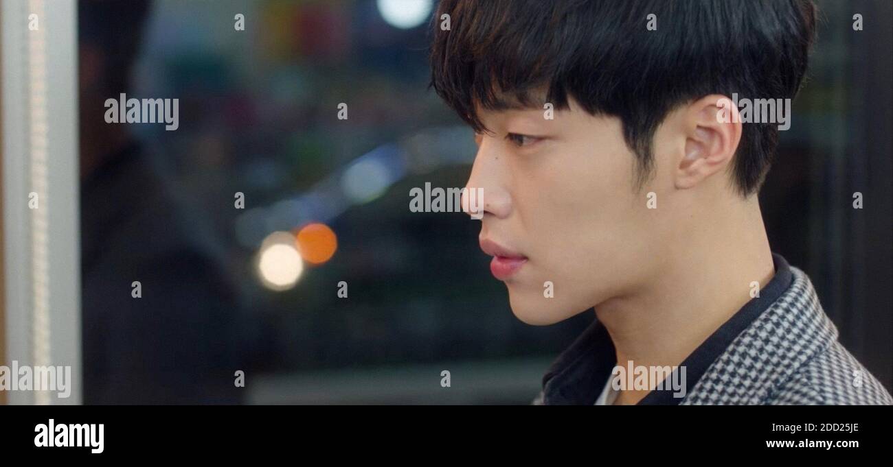THE GREAT SEDUCER, (aka TEMPTED, aka WIDAEHAN YUHOKJA), WOO Do-hwan ...