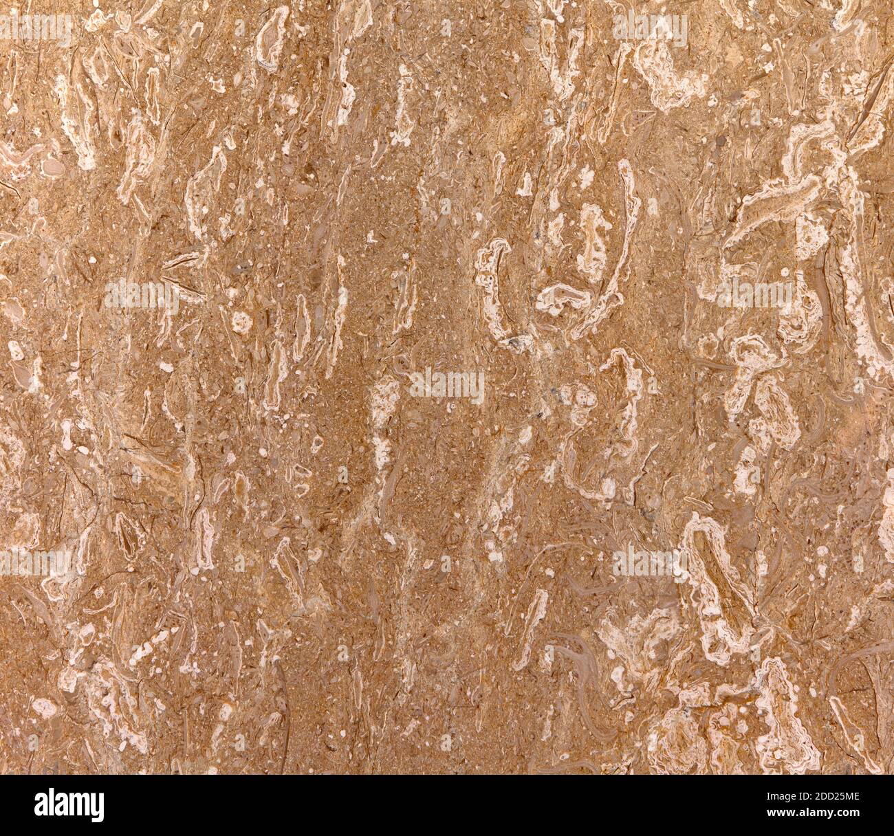 Marble texture background with high resolution, The texture of ...