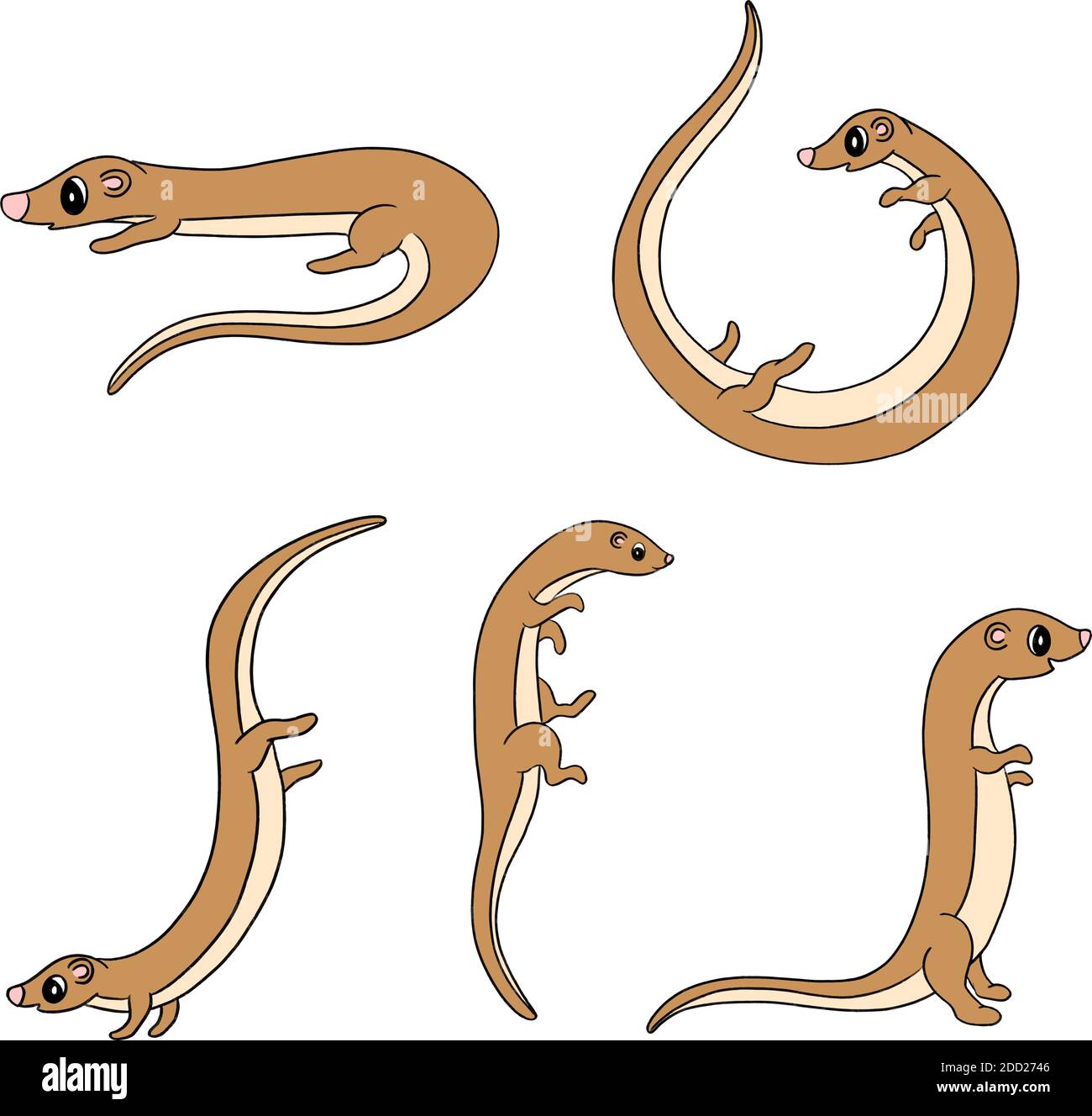 Cute Cartoon Otter Ferret Illustration Collection in Vector Stock ...