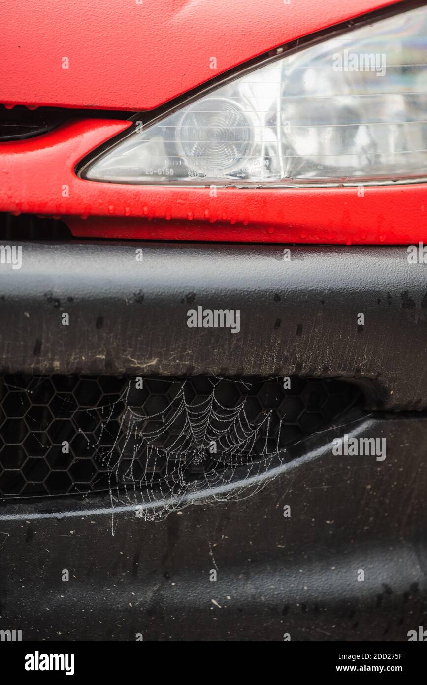 Cobweb on a well-groomed beautiful car. Spider web on a car Stock Photo ...