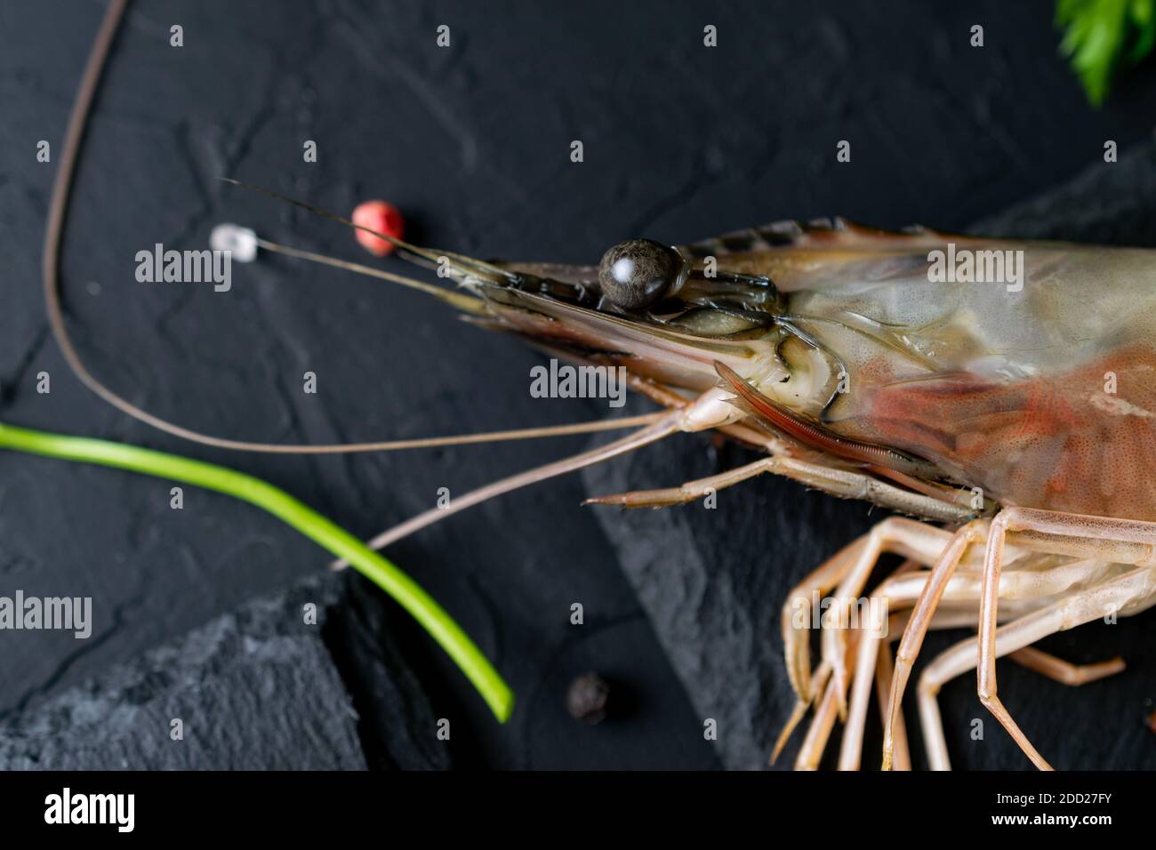 An extreme closeup of a raw shrimp on a black rock slate with sprinkled ...