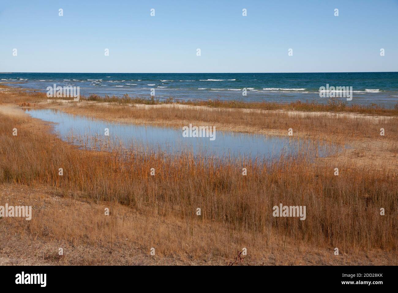 Freshwater lagoon, shoreline of Lake Huron, Northern Michigan, USA, by ...