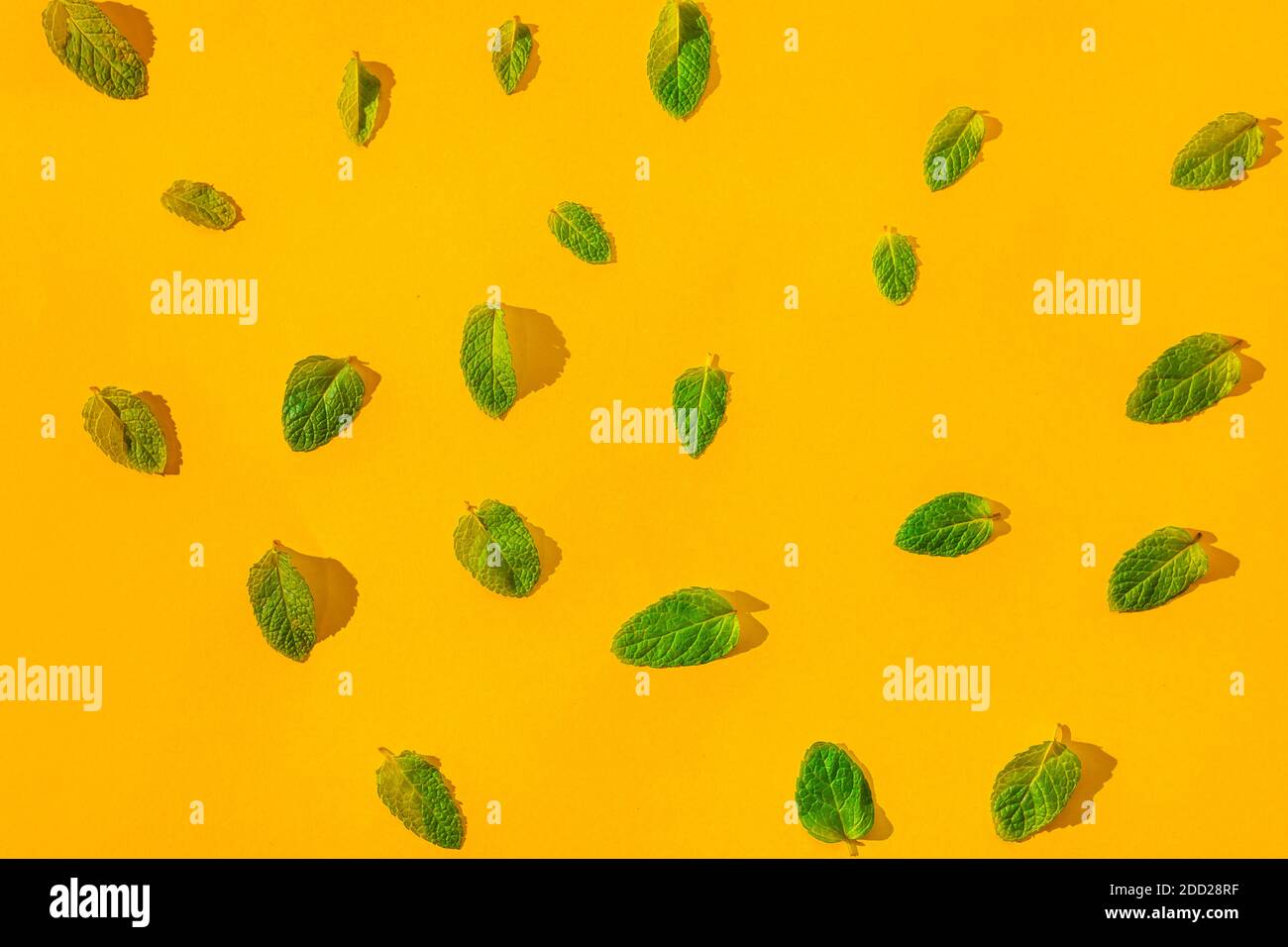 Peppermint texture hi-res stock photography and images - Alamy