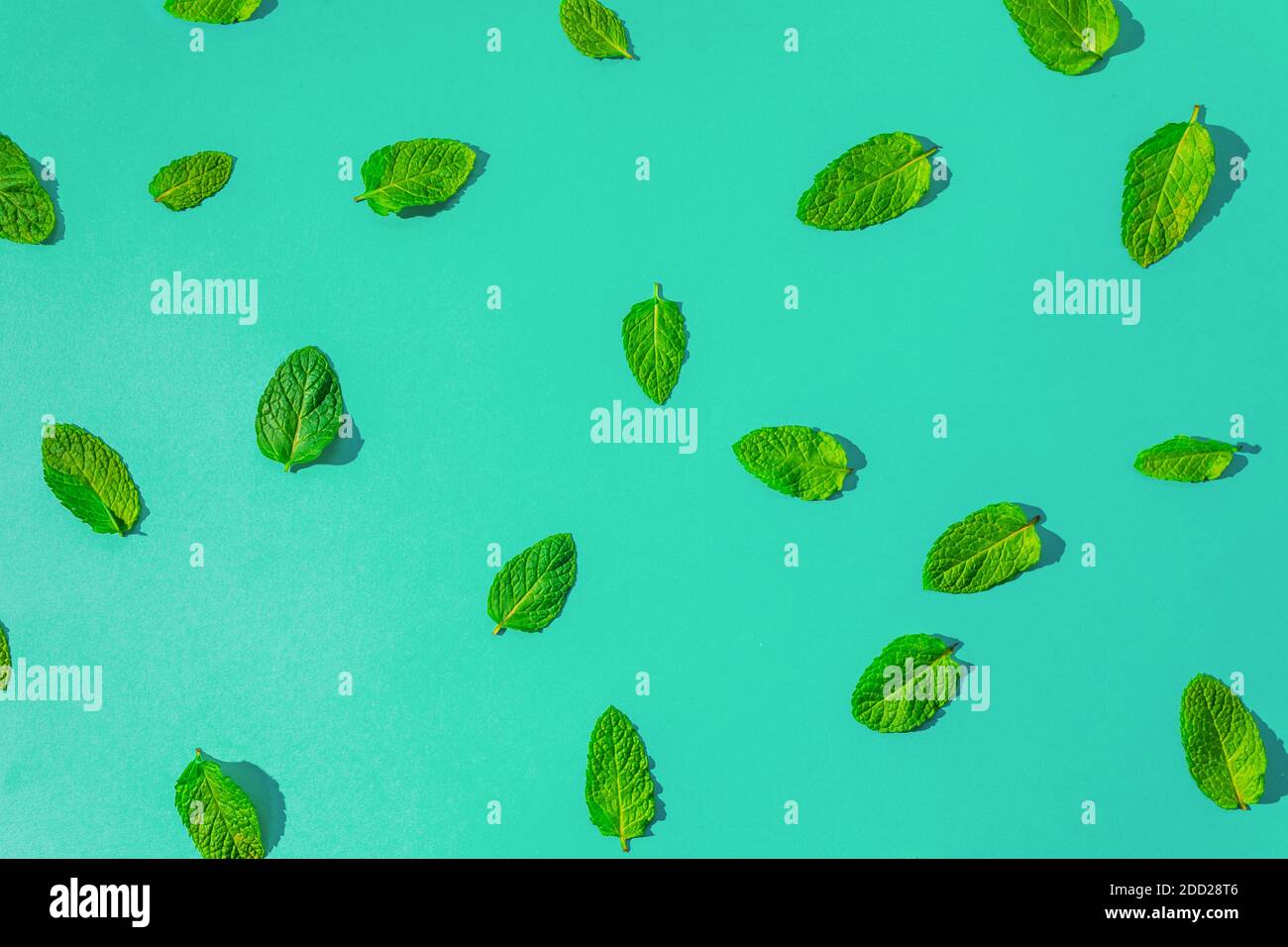 Peppermint Texture High Resolution Stock Photography and Images - Alamy