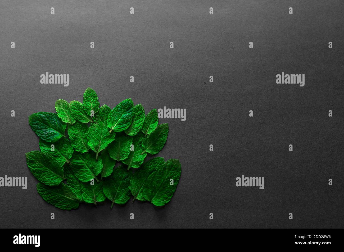 Peppermint texture hi-res stock photography and images - Alamy