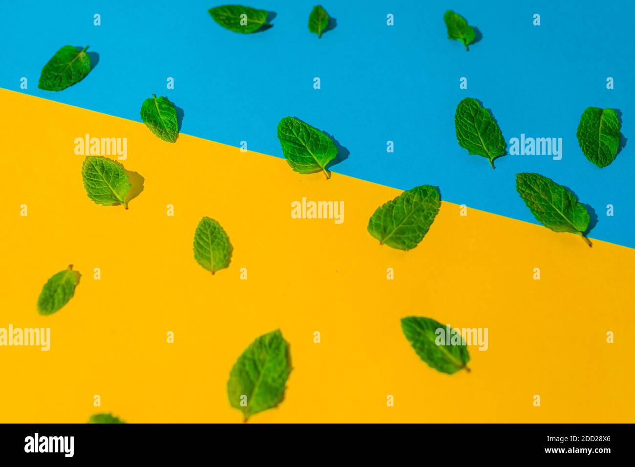 Peppermint colors hi-res stock photography and images - Alamy