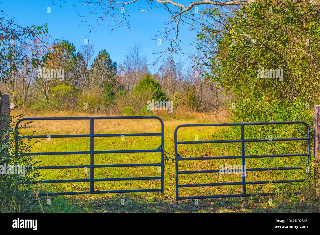 Locked gate in the country during Fall Stock Photo - Alamy