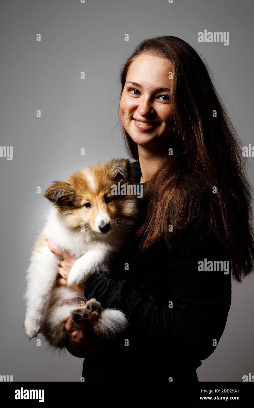 Sheltie and human hi-res stock photography and images - Alamy