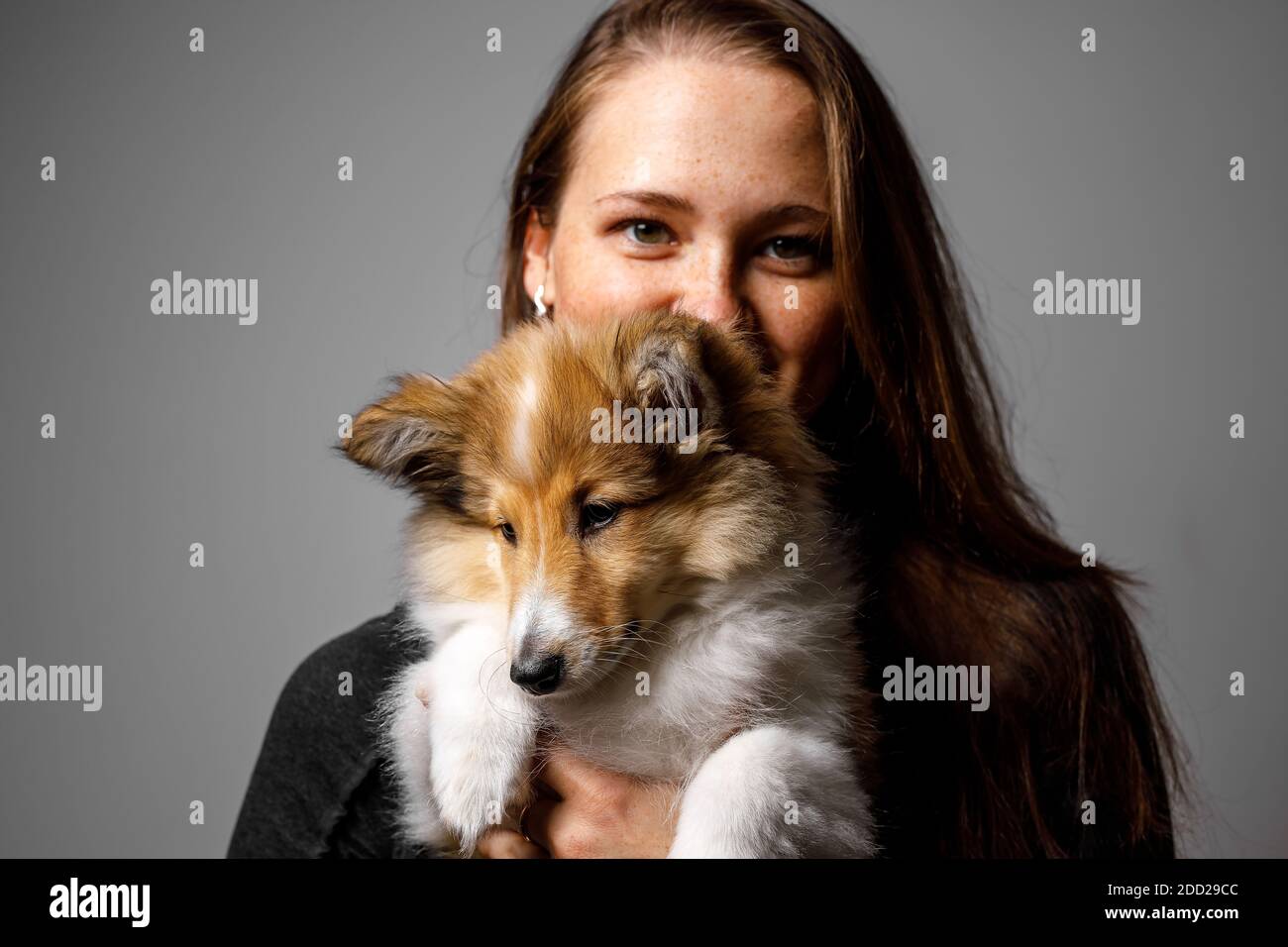 Sheltie and human hi-res stock photography and images - Alamy
