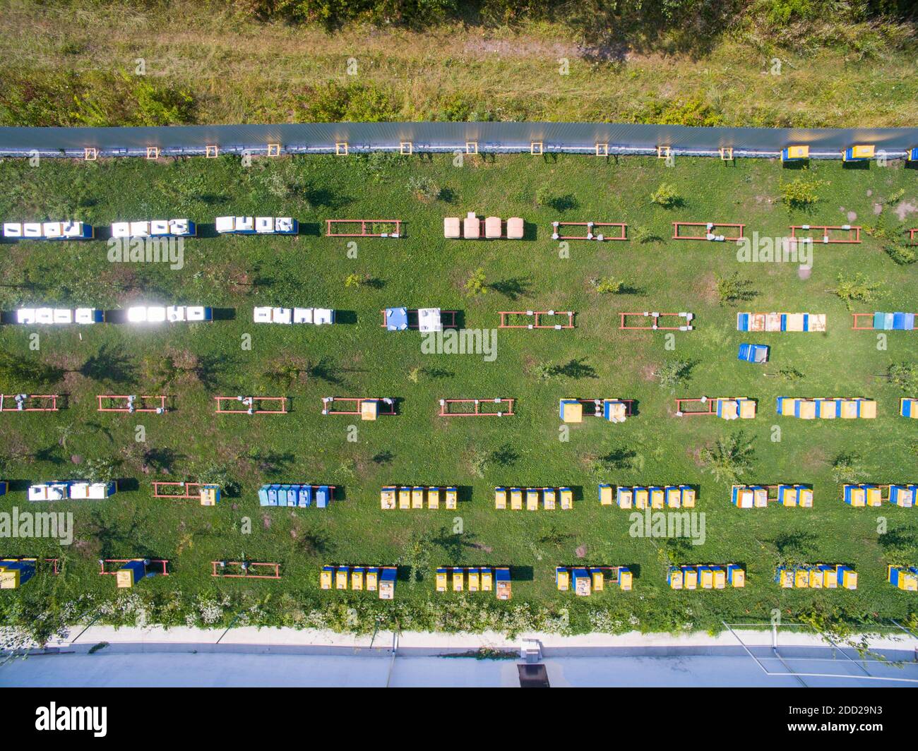 Aerial view of the Great Apiary. Industrial beekeeping with honey bees ...