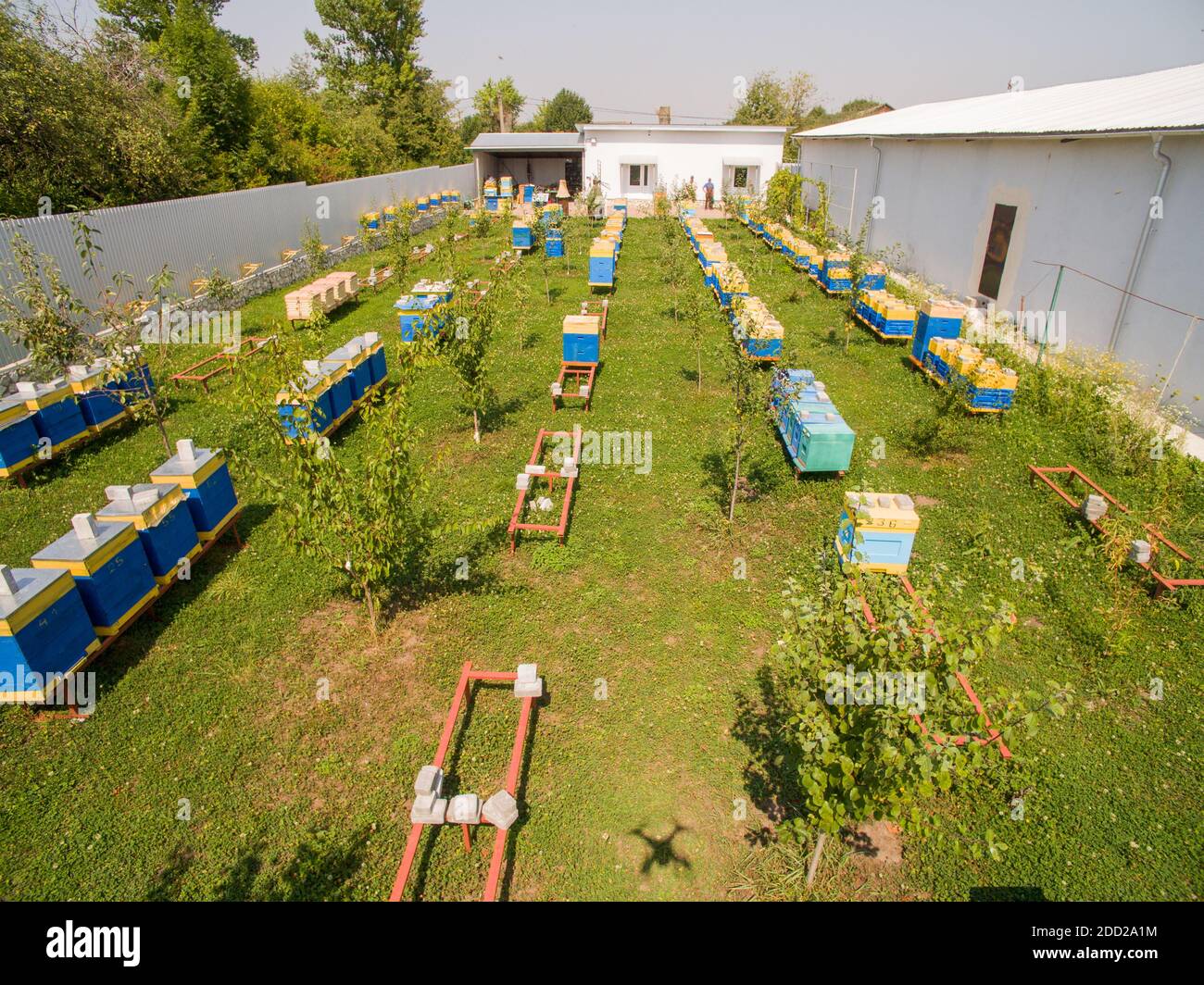 Aerial view of the Great Apiary. Industrial beekeeping with honey bees ...