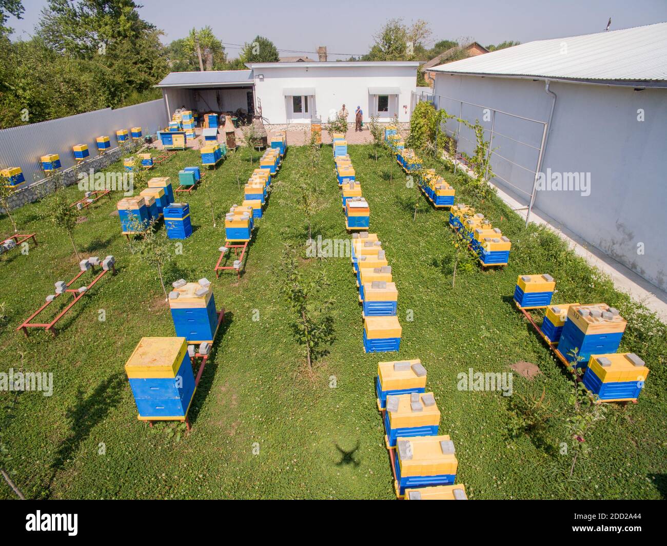 Aerial view of the Great Apiary. Industrial beekeeping with honey bees ...