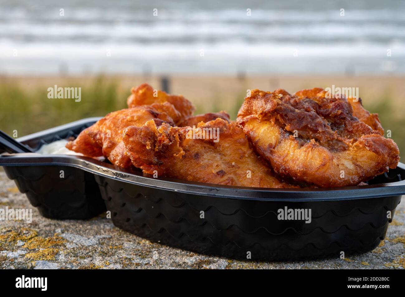 Dutch street seafood, deep fried cod fish fillet with garlic sauce ...