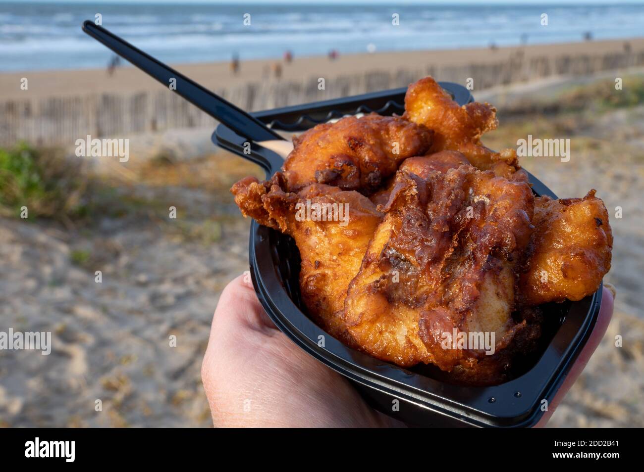 Dutch street seafood, deep fried cod fish fillet with garlic sauce ...