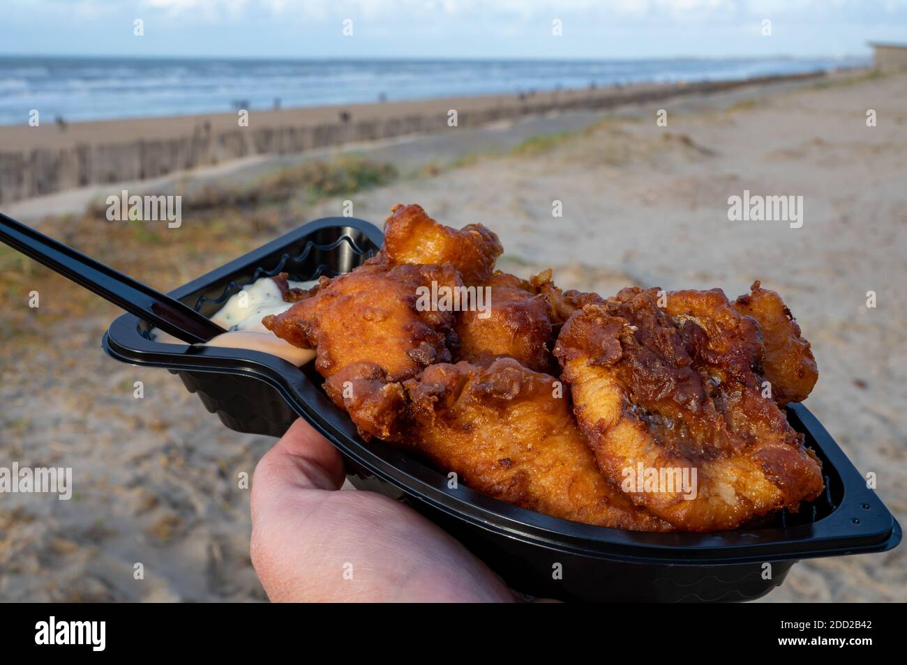 Dutch street seafood, deep fried cod fish fillet with garlic sauce ...