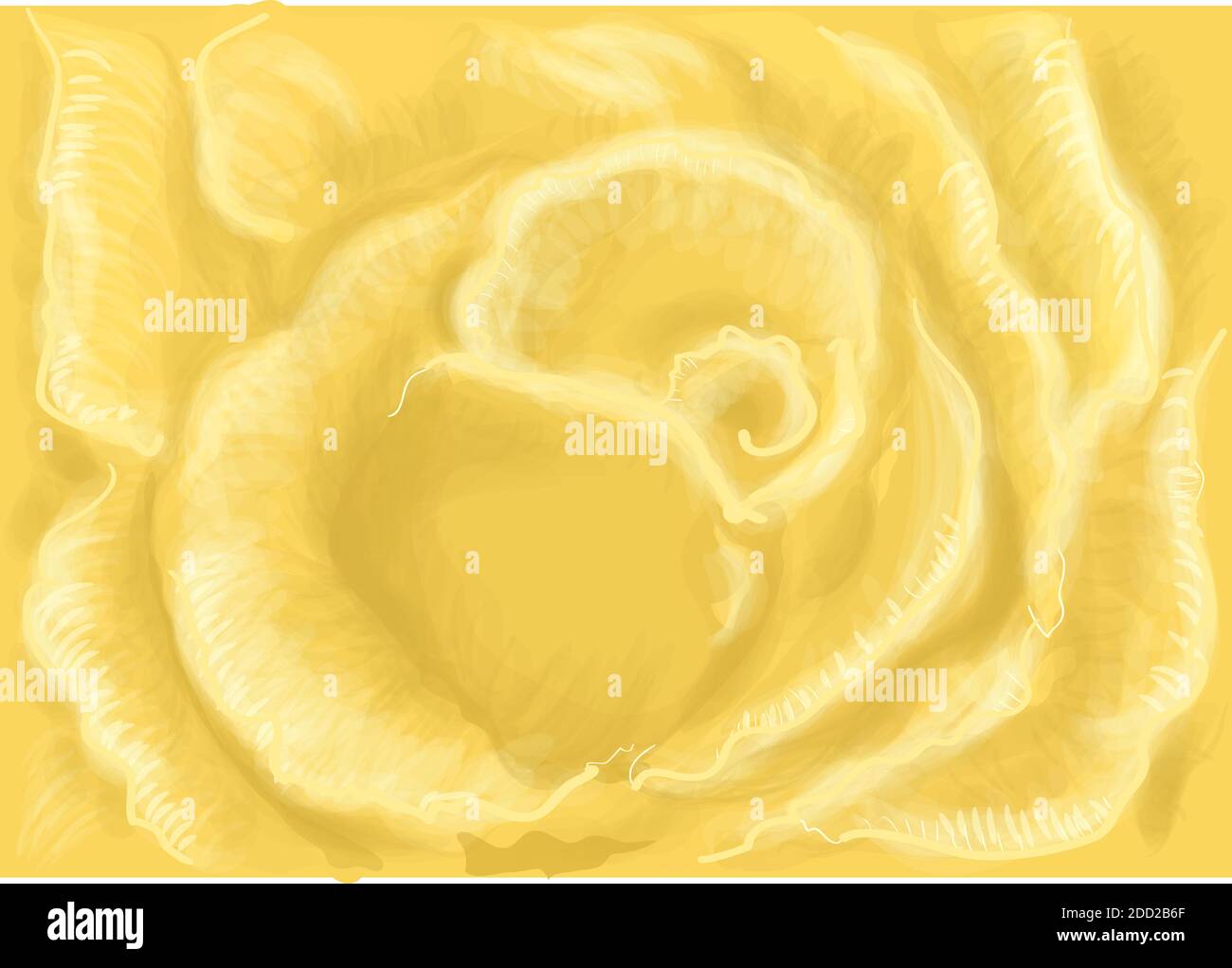 yellow rose vector illustration. floral background Stock Vector Image ...
