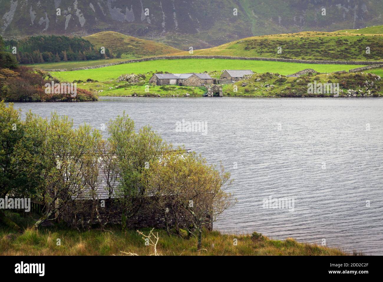 Laake Cregennan, Gwynedd, Wales in autumn. Some stone farm buildings ...