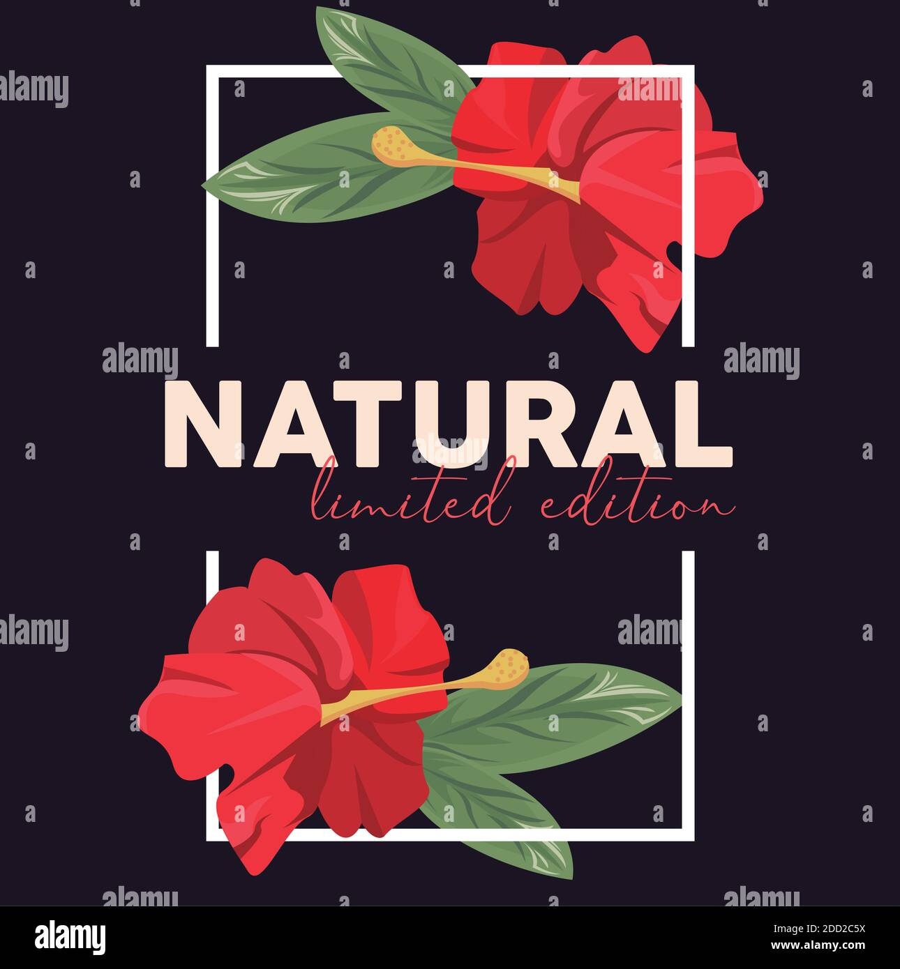 floral rectangle frame poster with natural word vector illustration ...