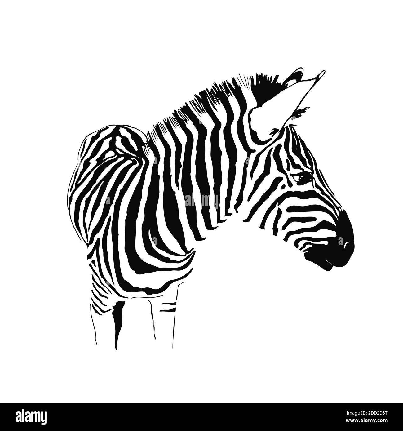 Zebra outline Stock Vector Images - Alamy