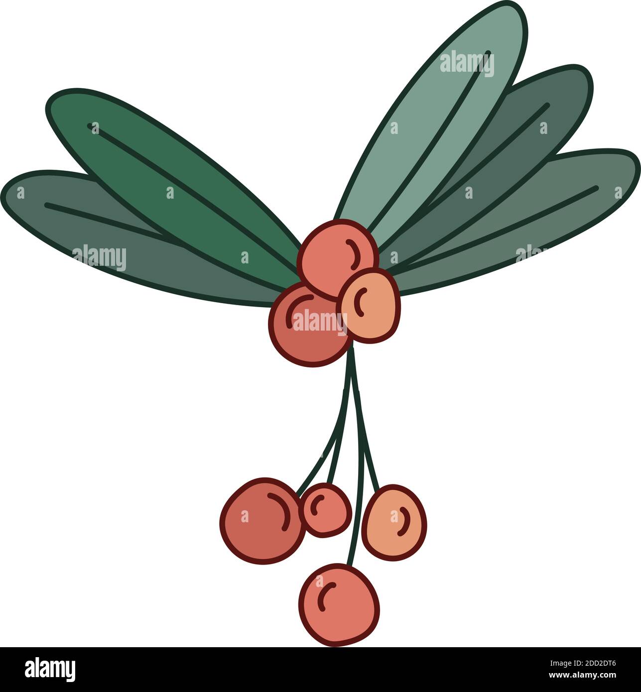 mistletoe with berries of red color Stock Vector Image & Art - Alamy