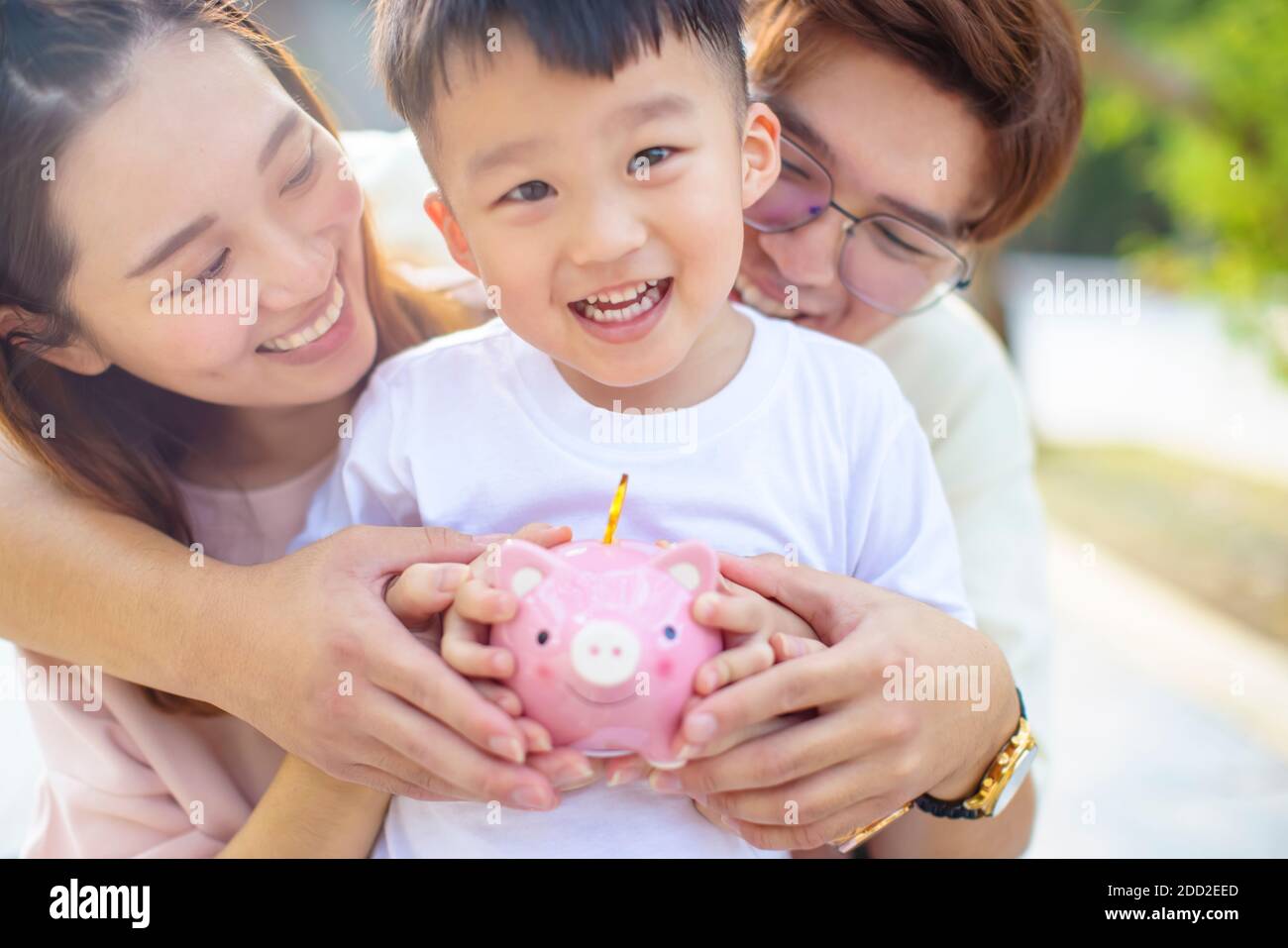 Pig parent hi-res stock photography and images - Alamy