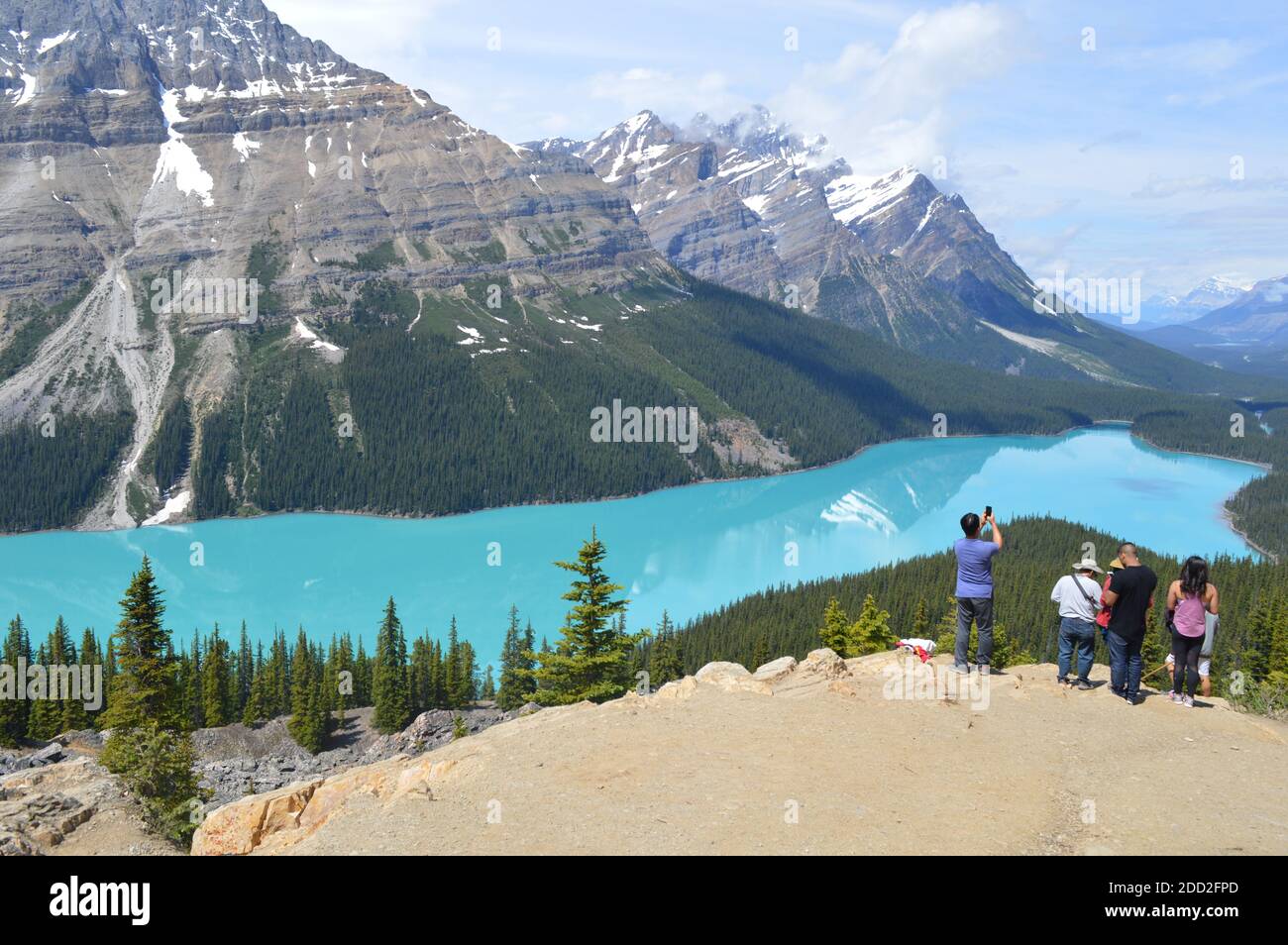Blue water Peyto alpine lake in Banff, Canada Stock Photo - Alamy