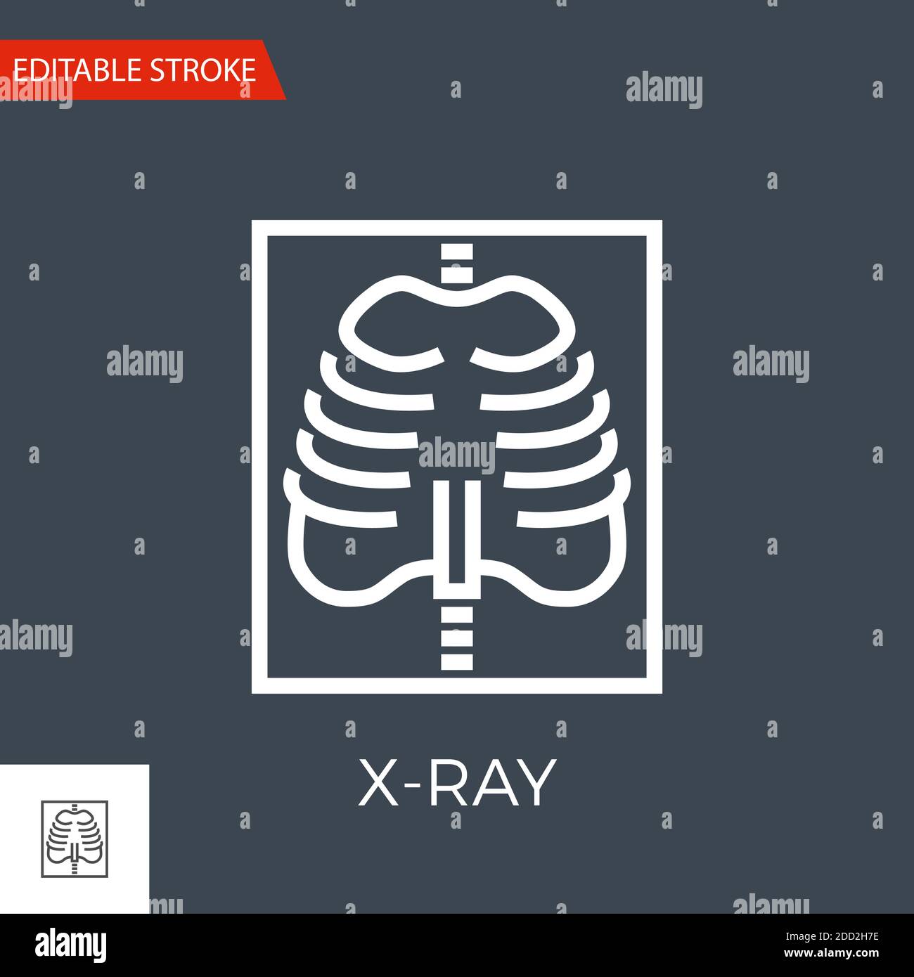 X-ray Vector Icon Stock Vector Image & Art - Alamy