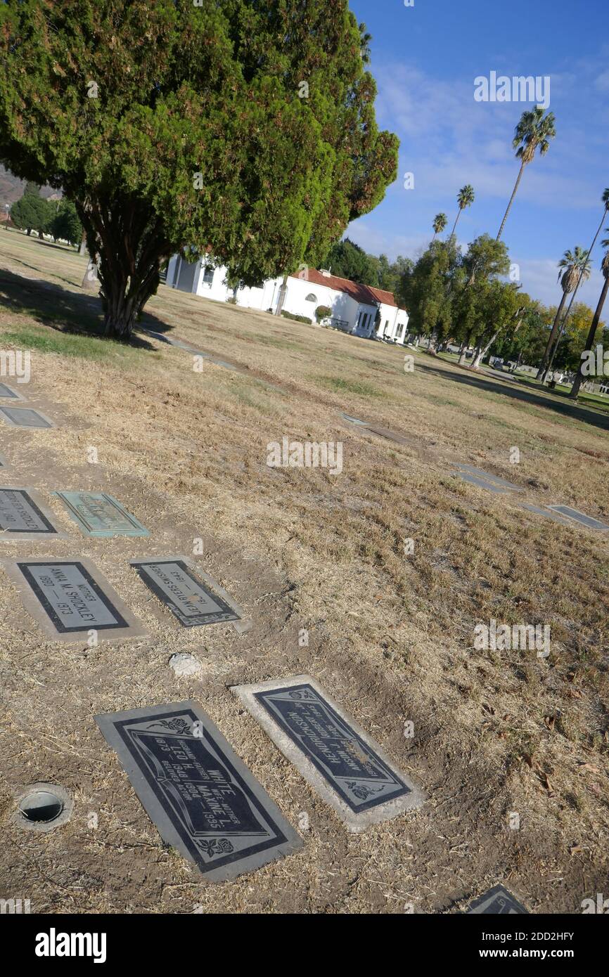 Glendale, California, USA 18th November 2020 A general view of atmosphere of actor Leo White's ...