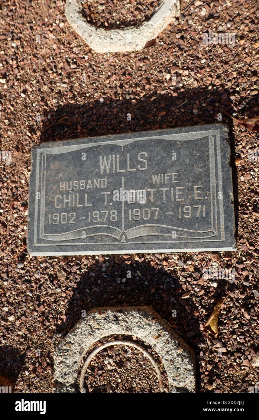 Chill Wills