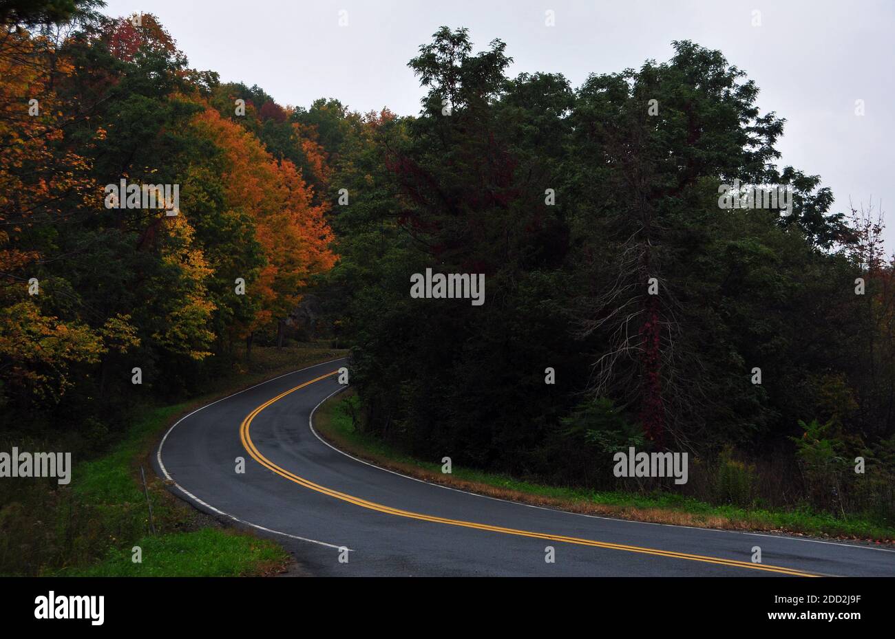 Fall drives in the country Stock Photo - Alamy