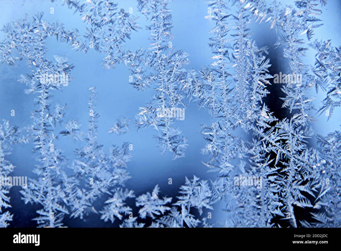 Frost patterns on a window ontario hi-res stock photography and images ...