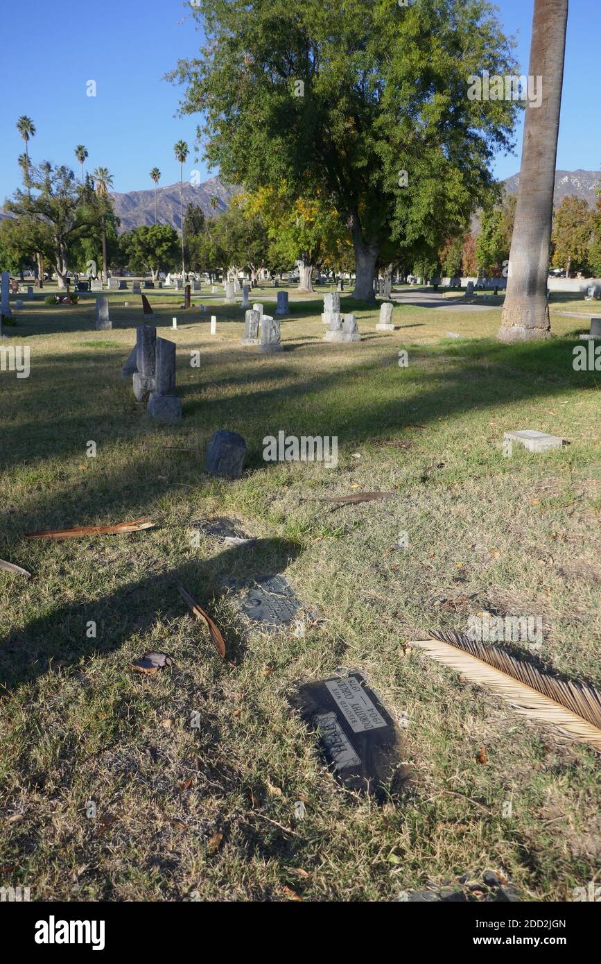 Glendale, California, USA 18th November 2020 A general view of atmosphere of actress Dorothy ...