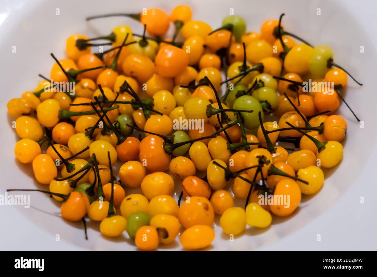 Aji charapita is a hot pepper that comes from the northern region of ...