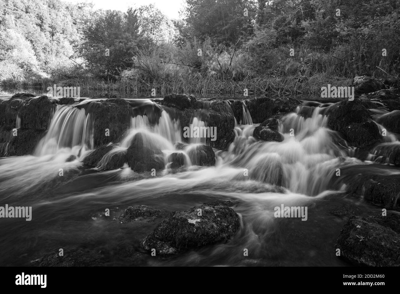A grayscale shot of beautiful small waterfalls in a forest - great for ...