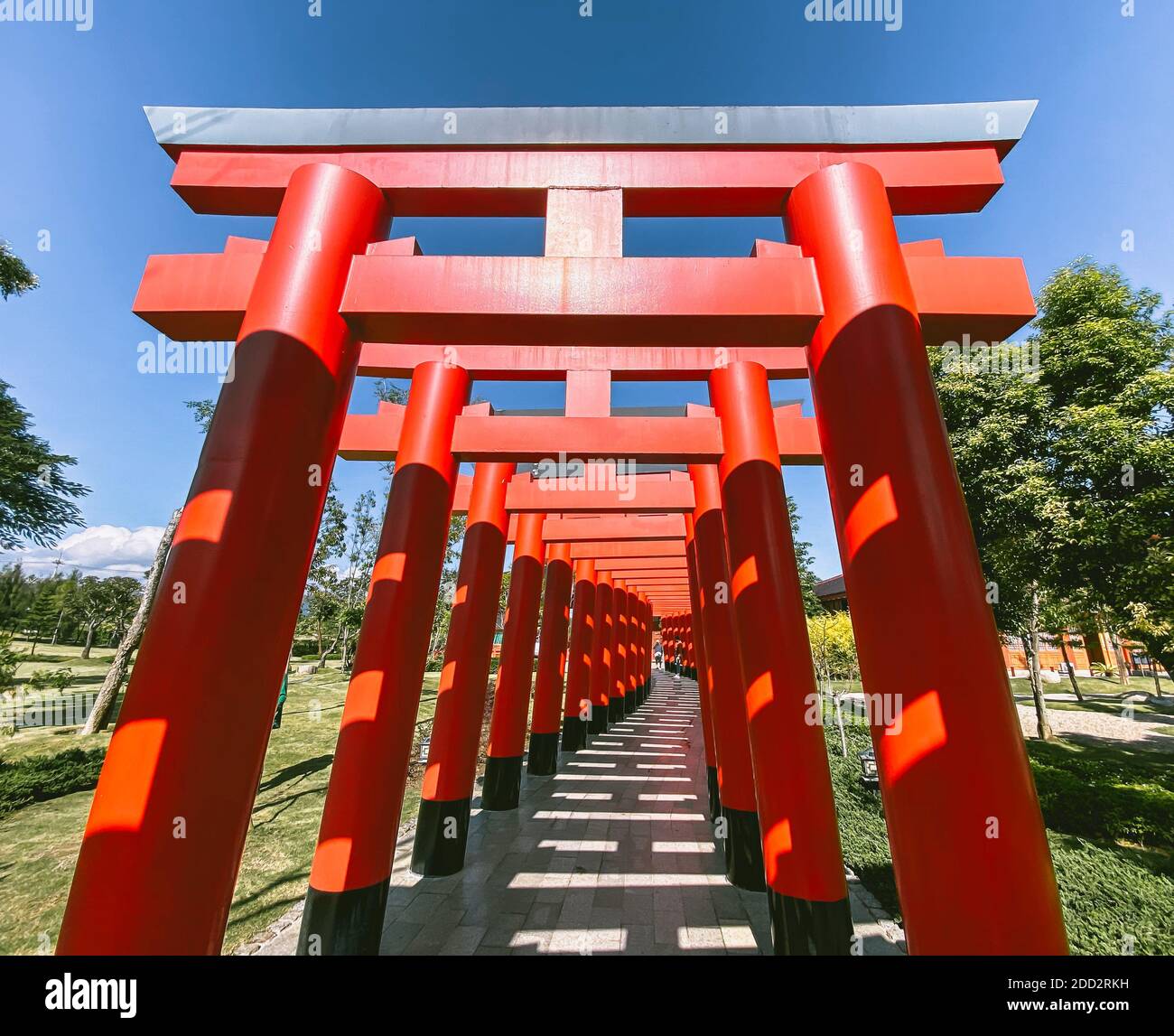 Hinoki land japan attraction in Chai Prakan District, Chiang Mai, Thailand, south East Asia ...