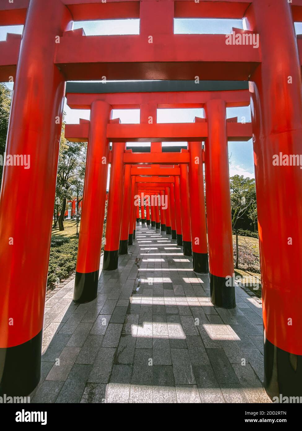 Hinoki land japan attraction in Chai Prakan District, Chiang Mai, Thailand, south East Asia ...