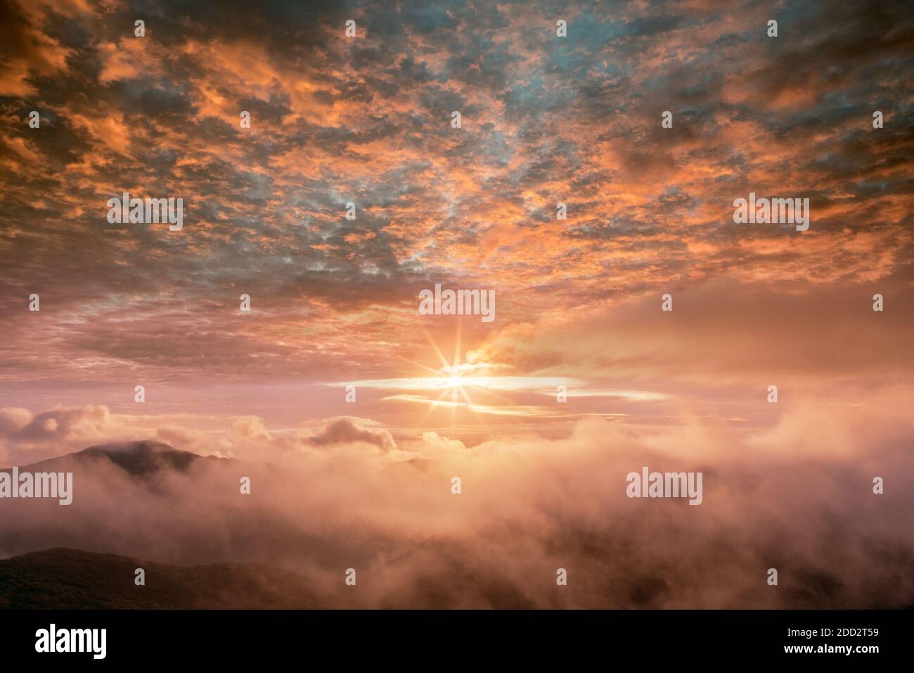 Yunkai mountain national nature reserve, sunrise Stock Photo - Alamy