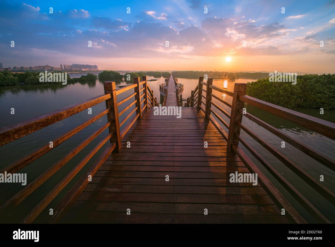 Guangdong maoming Shuidong bay mangrove plank road sunrise Stock Photo ...