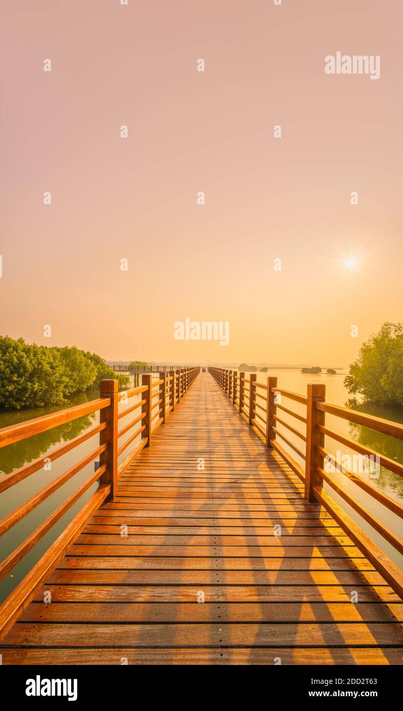 Guangdong Maoming Shuidong bay mangrove plank road sunrise Stock Photo ...