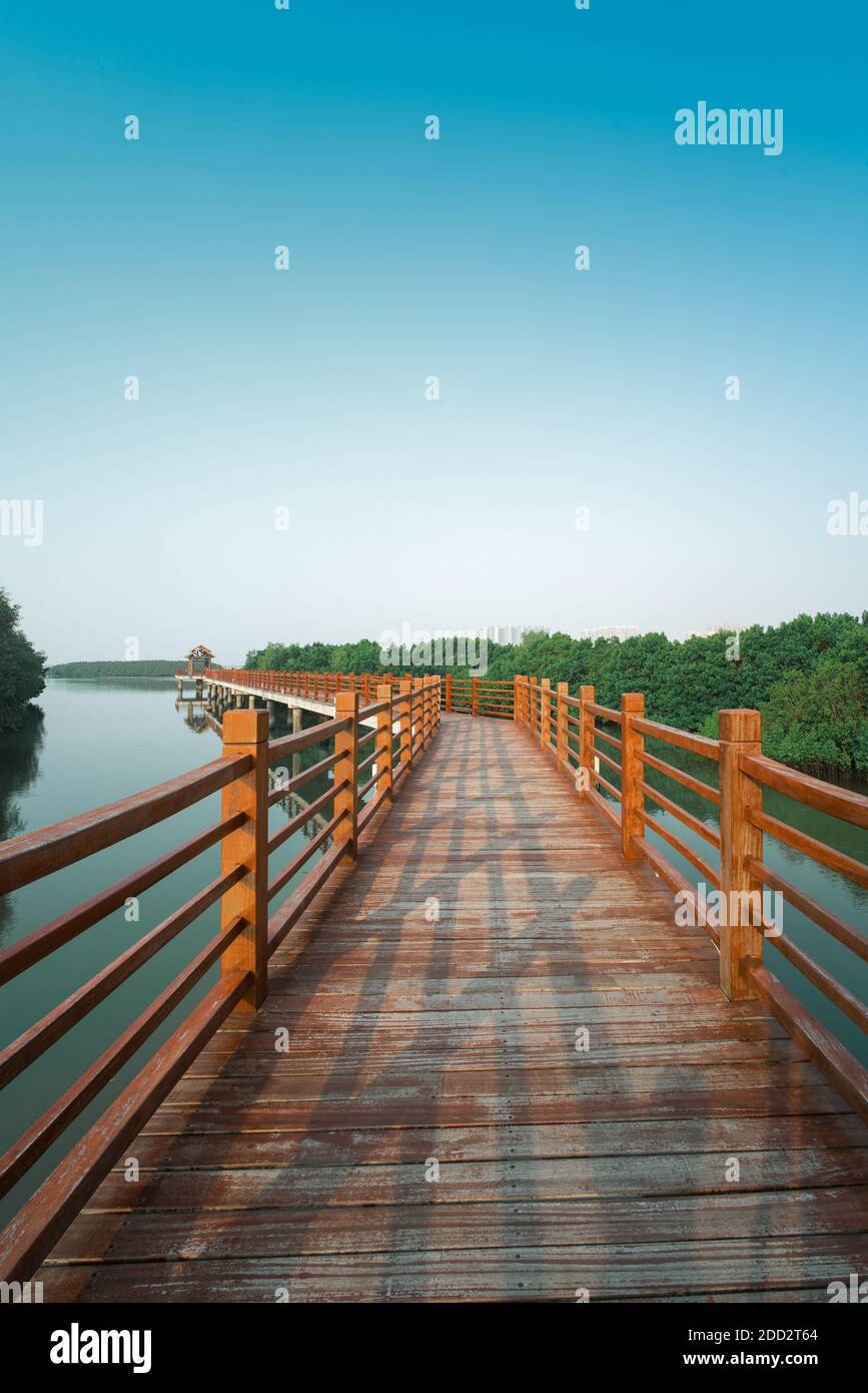 Guangdong Maoming Shuidong bay mangrove plank road Stock Photo - Alamy