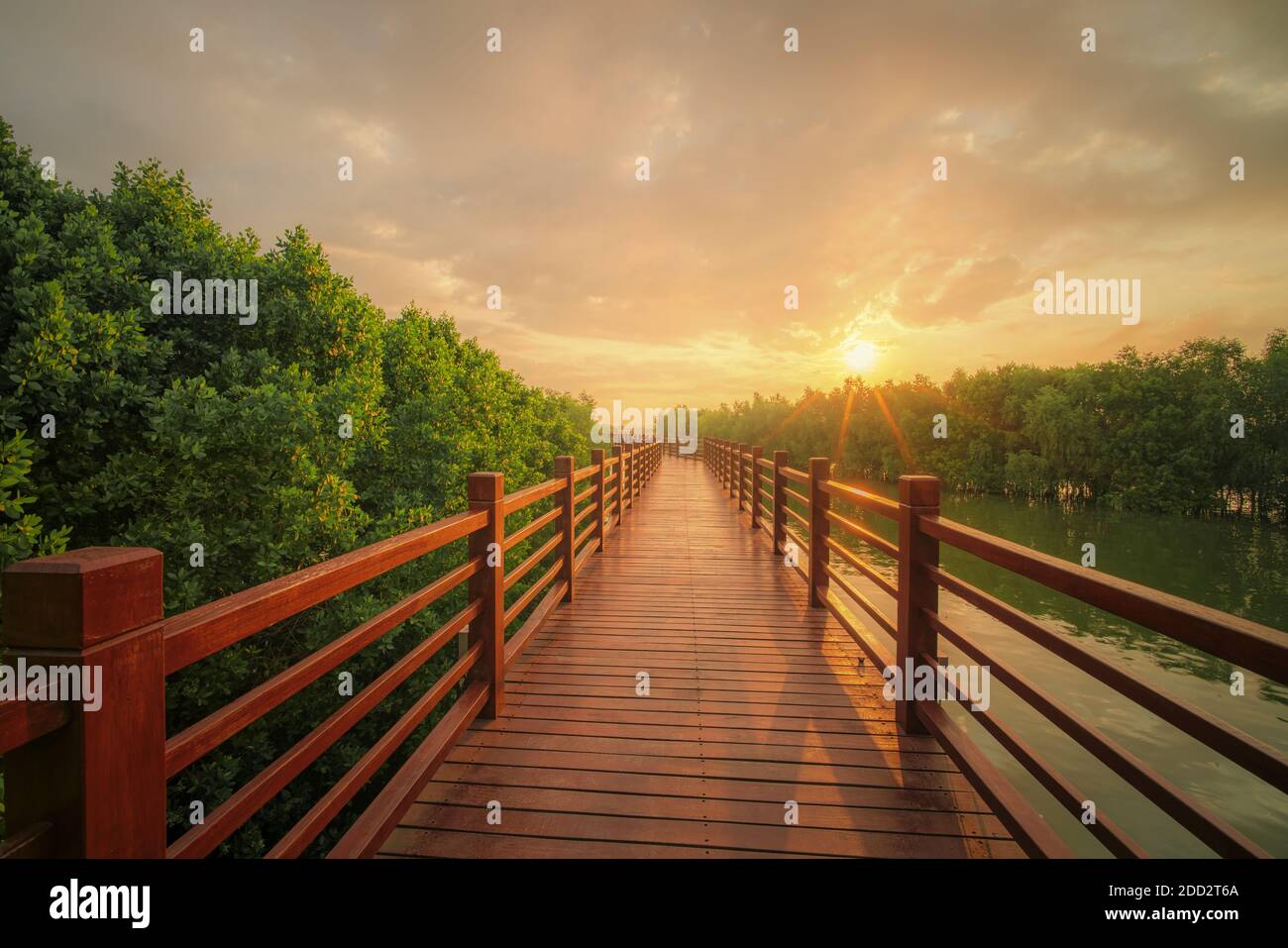 Maoming city hi-res stock photography and images - Alamy