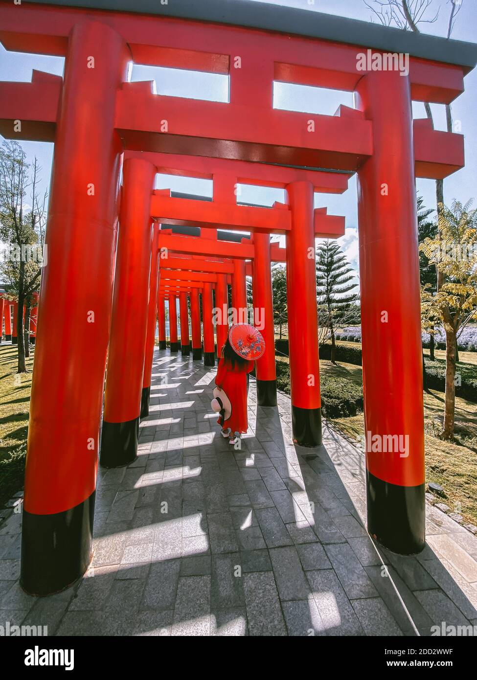 Hinoki land japan attraction in Chai Prakan District, Chiang Mai, Thailand, south East Asia ...