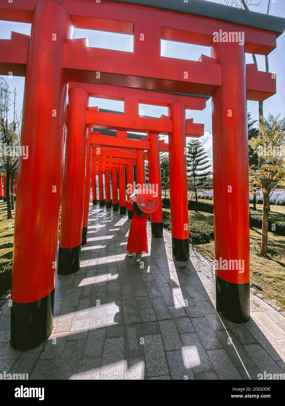 Hinoki land japan attraction in Chai Prakan District, Chiang Mai, Thailand, south East Asia ...