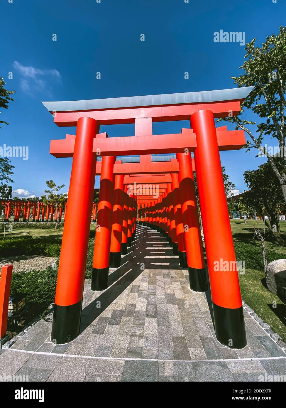 Hinoki land japan attraction in Chai Prakan District, Chiang Mai, Thailand, south East Asia ...