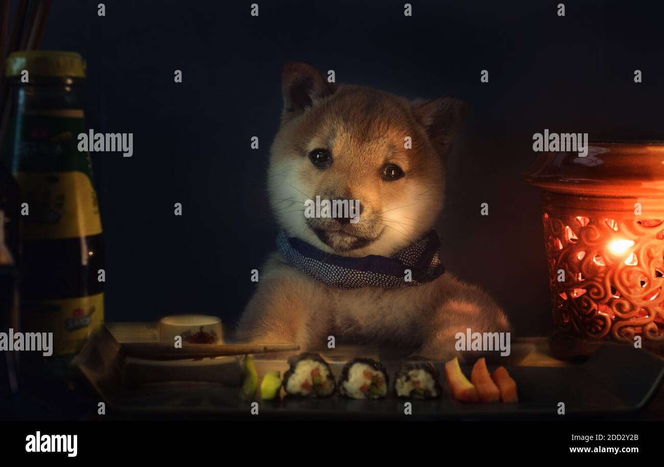 Outdoor night portrait studio hi-res stock photography and images - Alamy