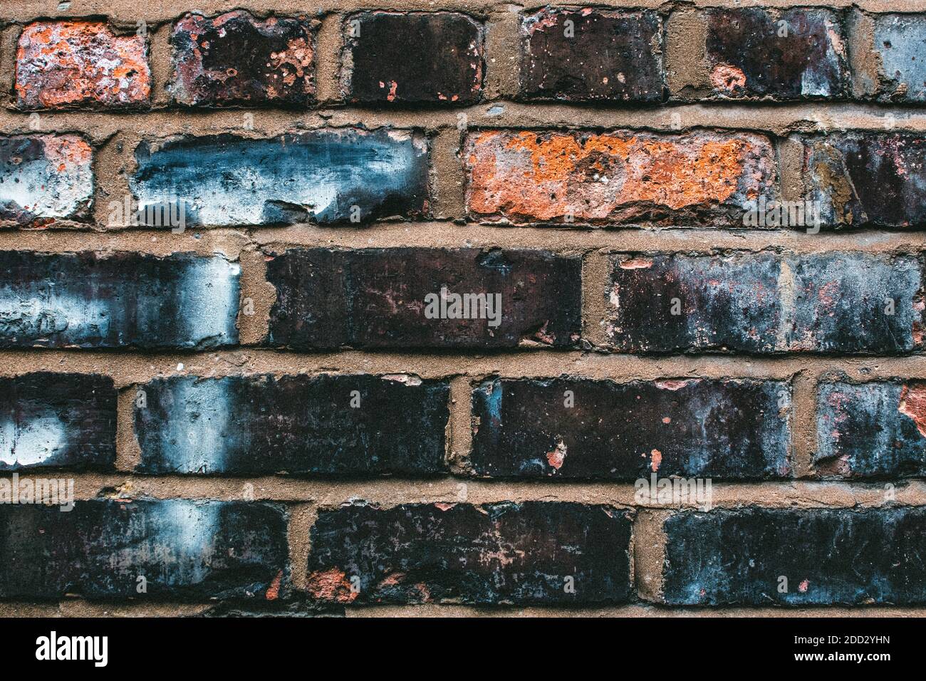 Seamless textures hi-res stock photography and images - Alamy